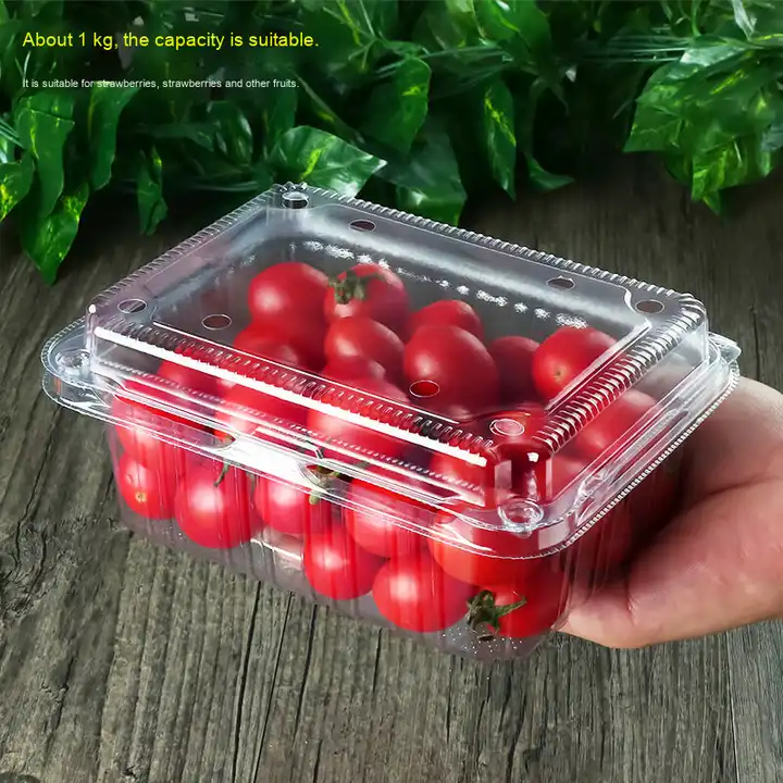 Disposable PET Clear Plastic Boxes for Fresh Fruit and Vegetable ...