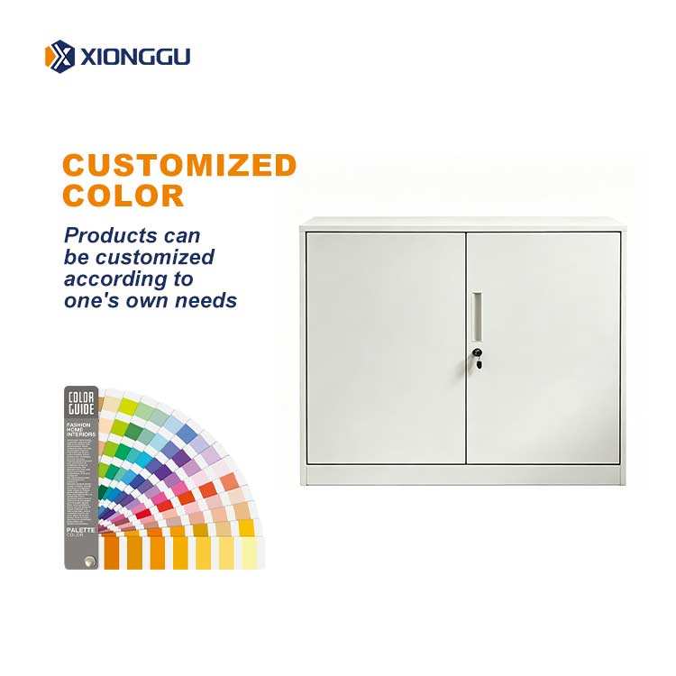 Double Door Low Height Cabinet Key Lock Scratch Proof Multi Use Home ...