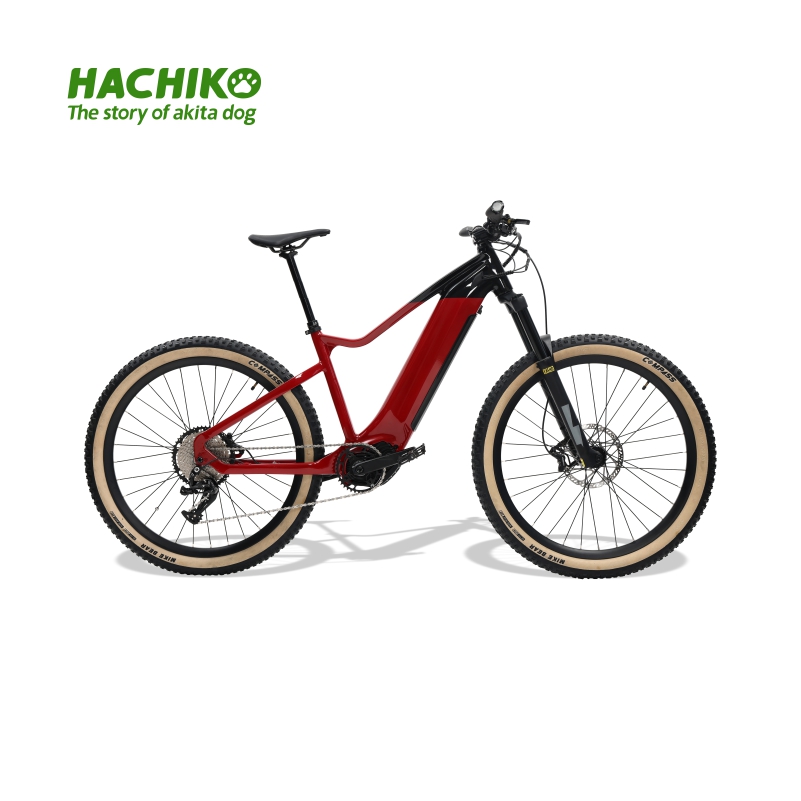 How to Choose the Best Razer Electric Bike: A Complete Buying Guide