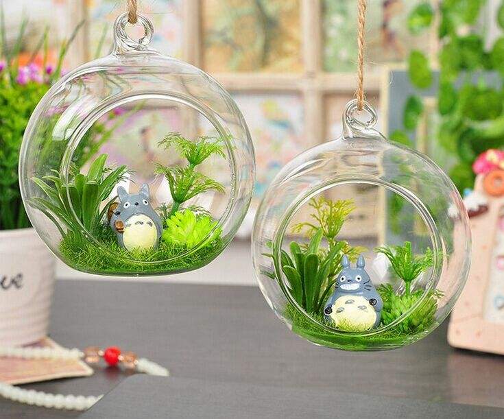 Hand Blown Glass Ball Terrarium