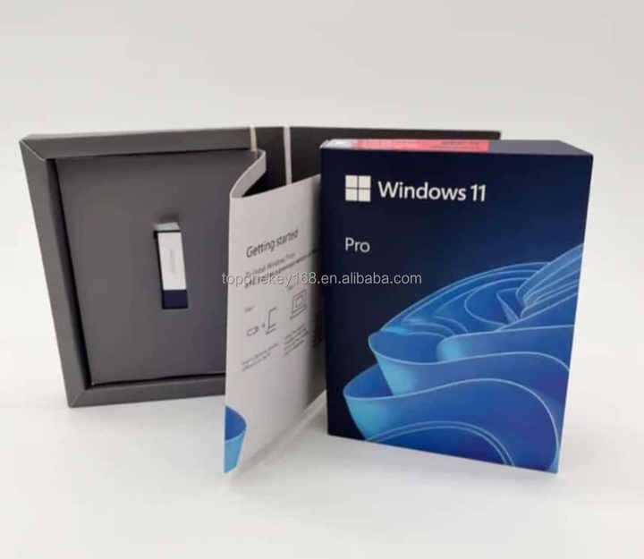 Windows 11 Pro USB Retail Box License – Lifetime Online Activation for ...