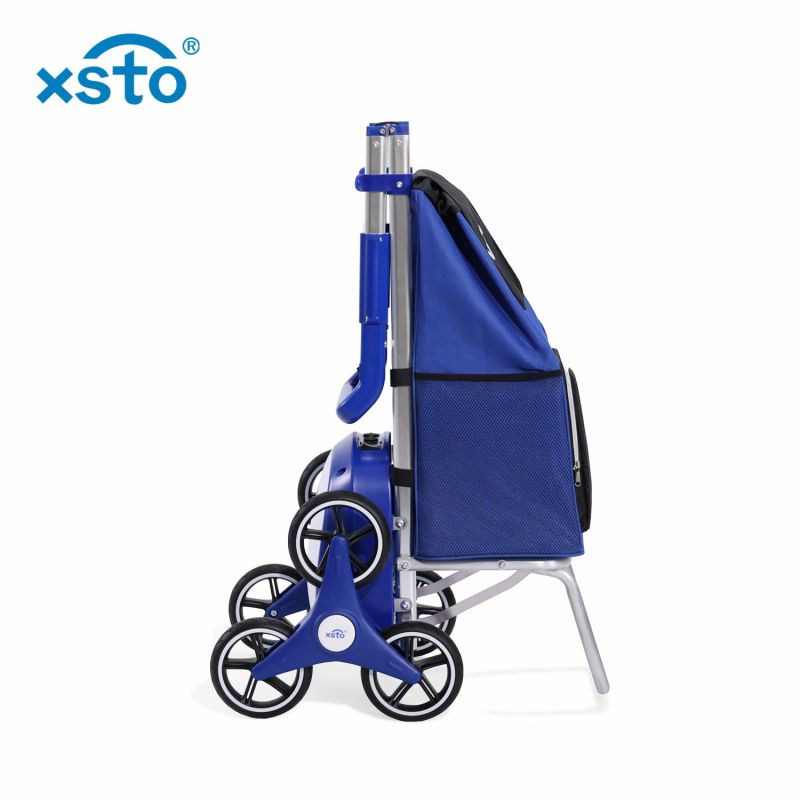 Motorized Shopping Carts - Efficient Transport Solutions