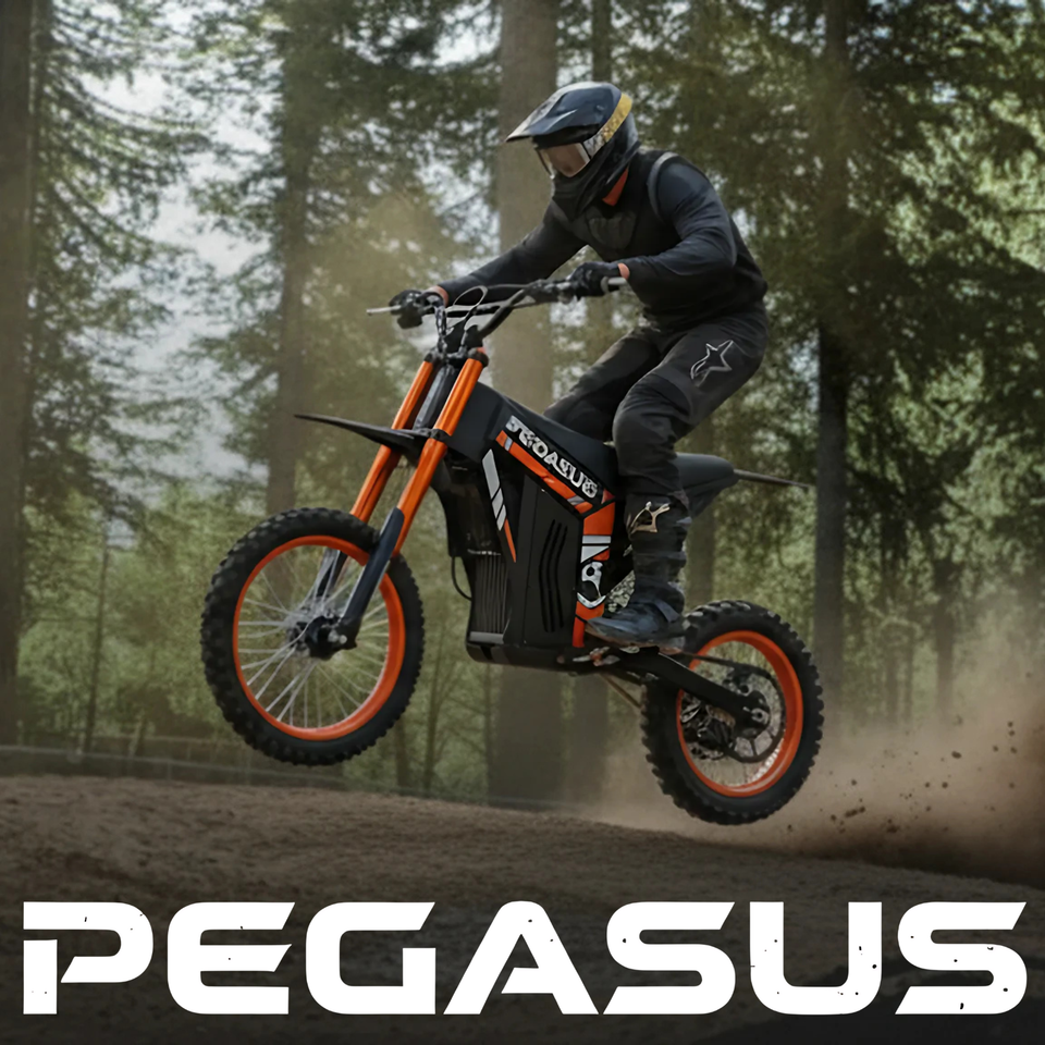 PEGASUS 55mph Brushless Motor Performance 48V Electric Dirt Bike