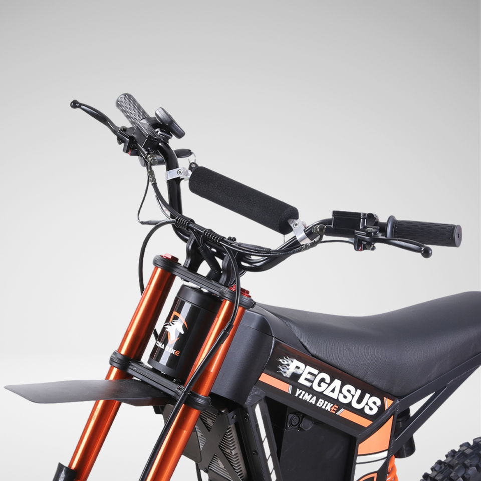 Pegasus Electric Motorcycle 2000W 48V 21AH Electric Bike Long Range ...