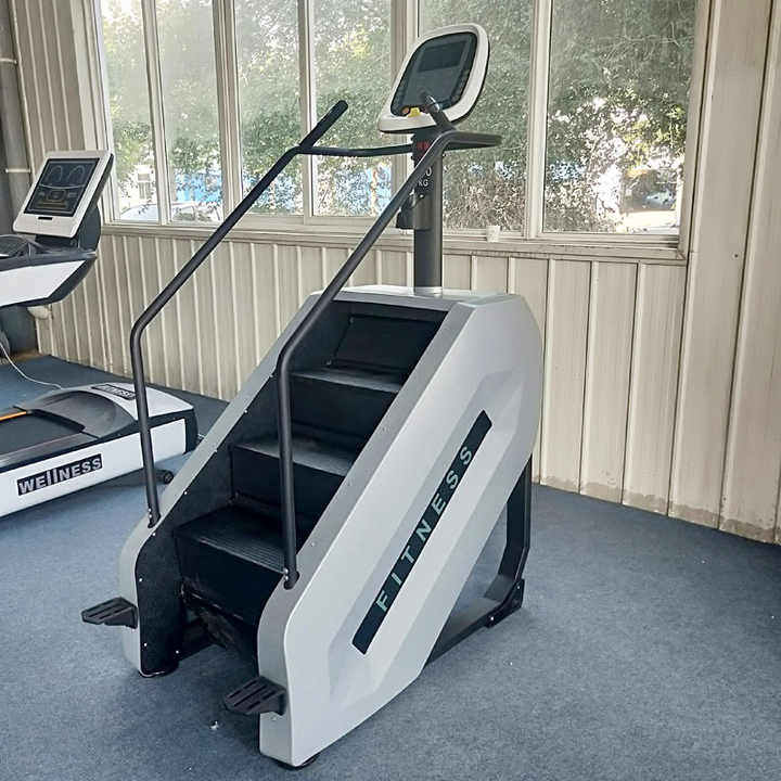 Ganas Stair Master Vertical Cardio Exercise Stepper Commercial Gym ...
