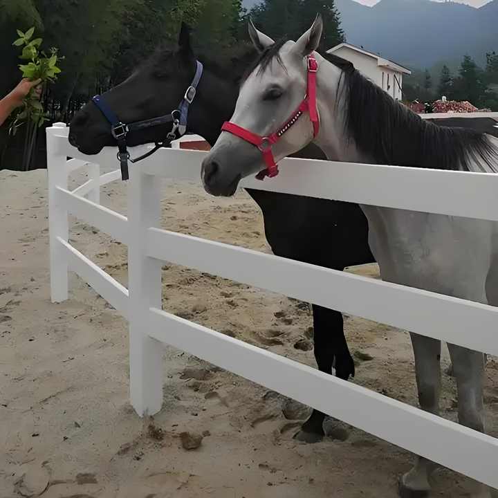 Fentech Easy-to-Assemble PVC Horse Paddock Fence Plastic and Rail Ranch ...