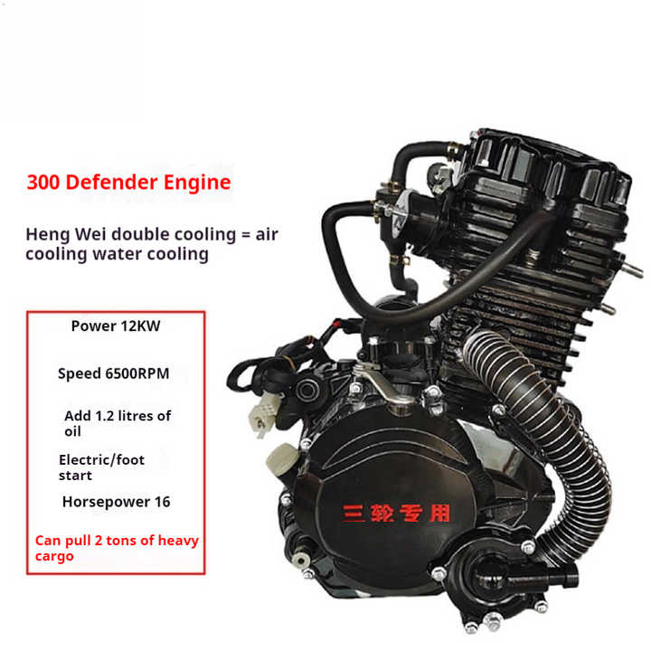 Motorcycle Motor Engine Motorcycle Go Kart Engine 300CC Water-cooled ...