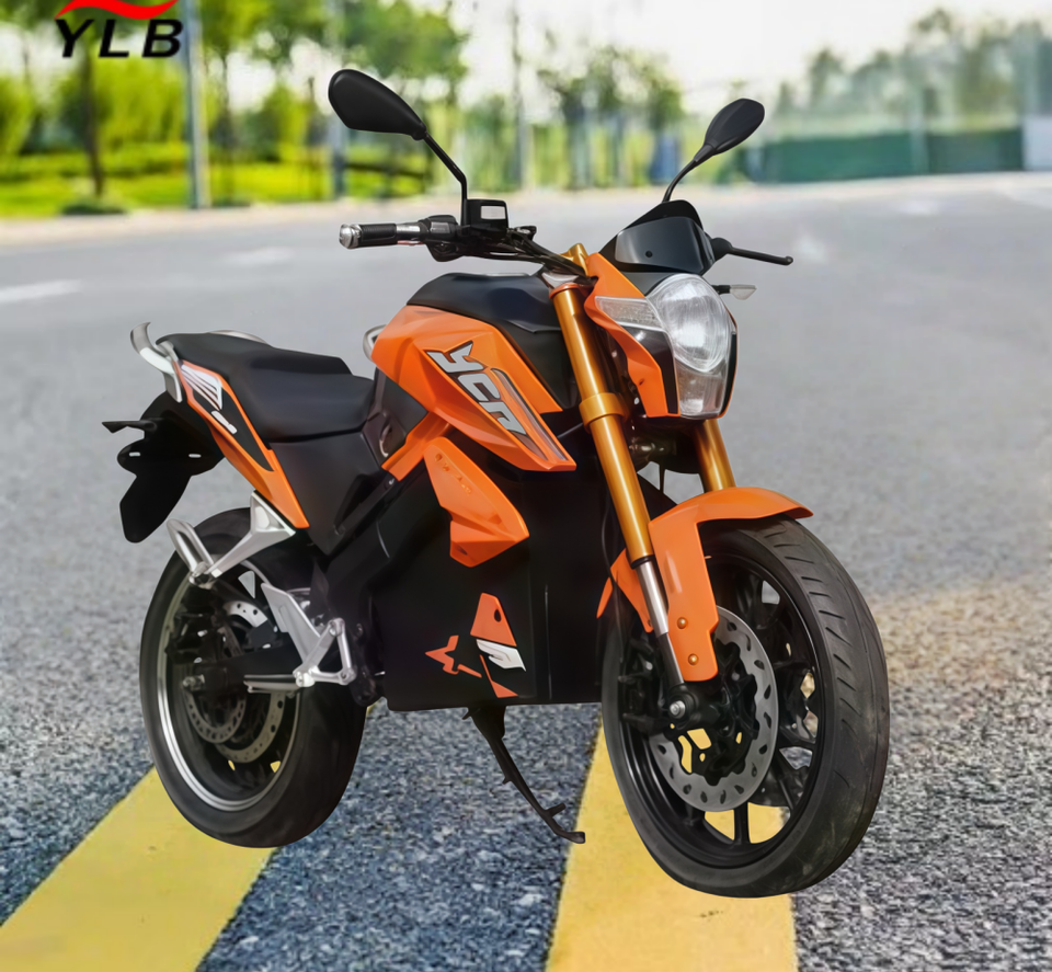 Dual-motor Electric Motorcycle with 800W Power Patin Ete in Retro Style ...