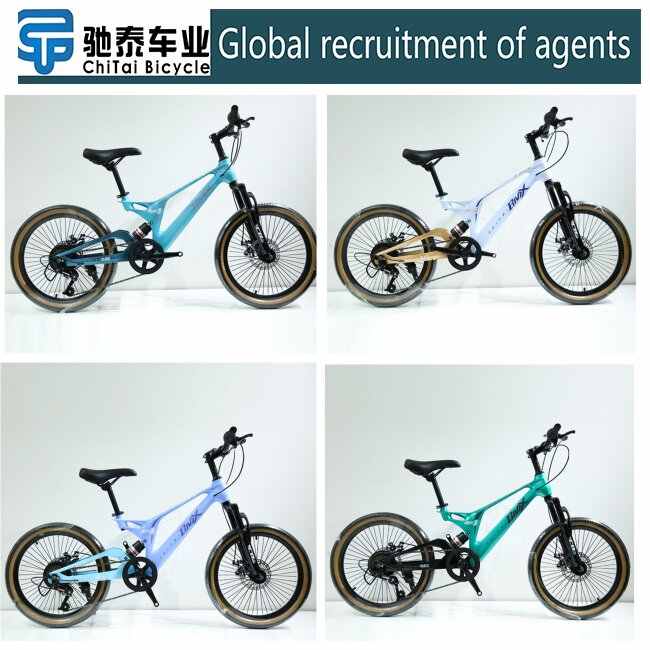 CHITAI Children's Self-Propelled Bike Magnesium Alloy Frame Steel Front ...