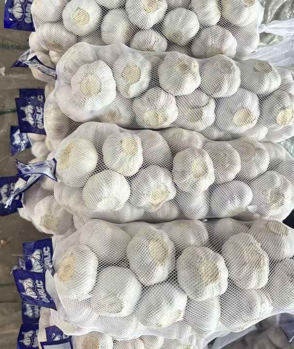 China Fresh Garlic 1kg Bag Packaging Fresh White Garlic Supplier ...