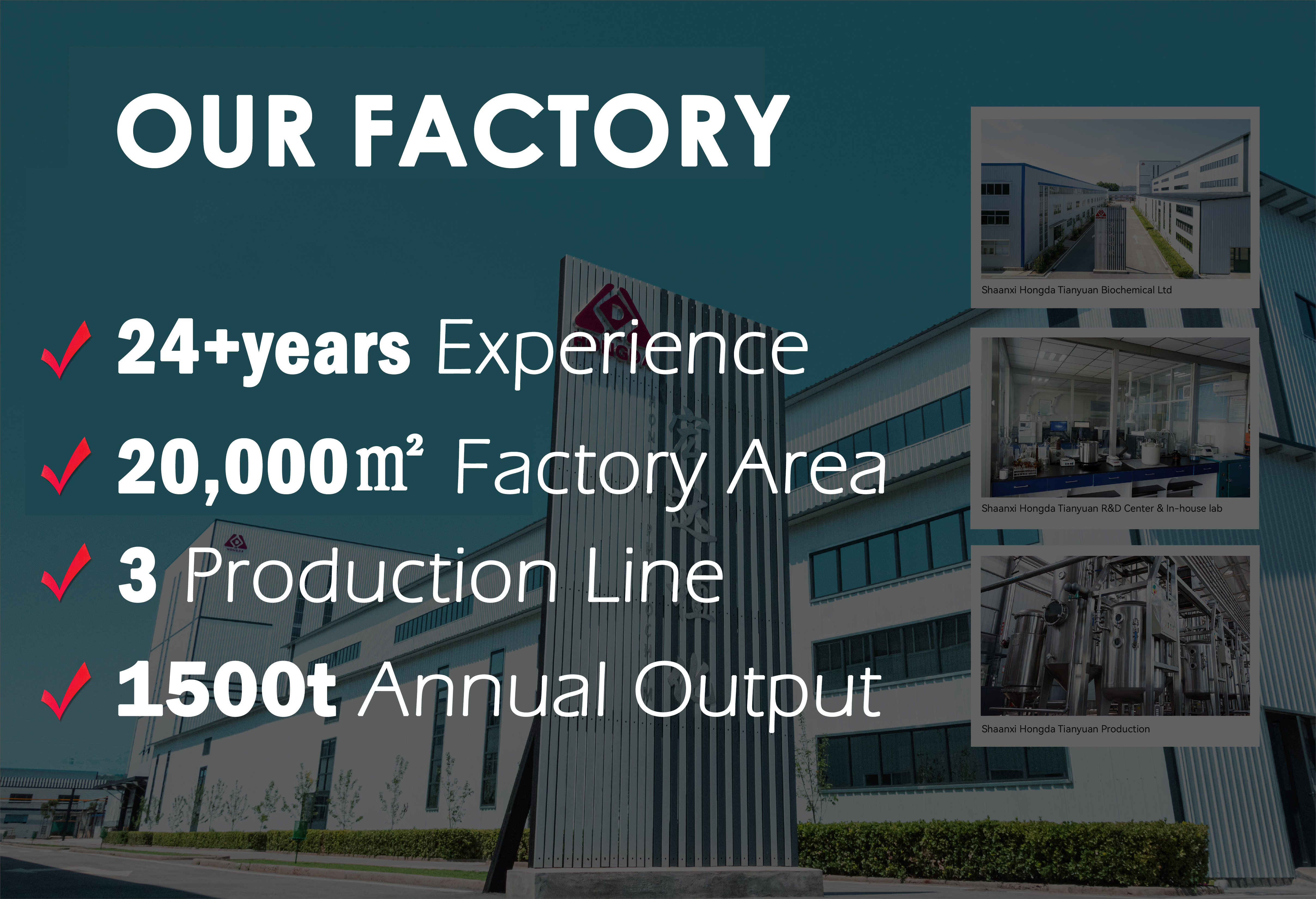 Berbagai Jenis pati akar panah Untuk Kebutuhan Tepat Anda - Alibaba.com