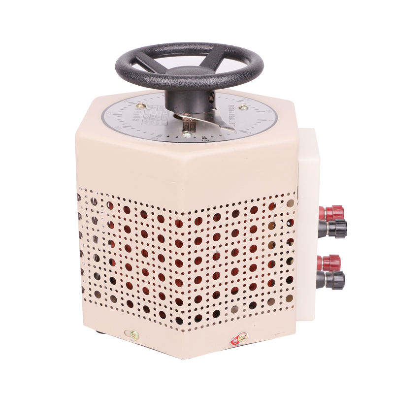Custom 1KVA 0-250V Adjustable Single Phase 100% Copper & Aluminum ...