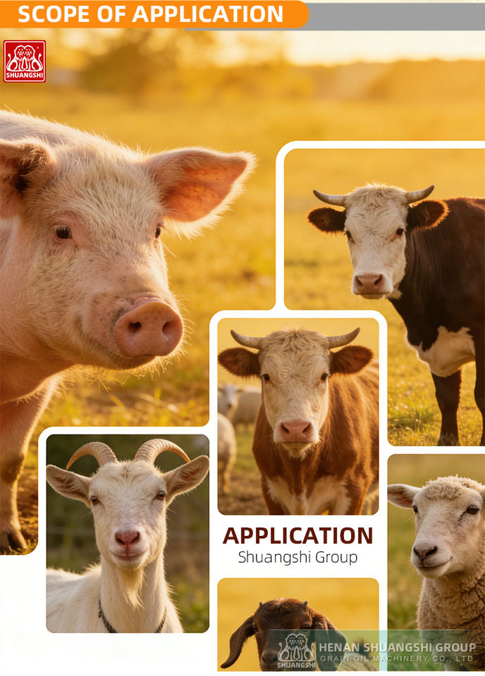 Slaughterhouse Livestock Animal Fats Oil Refining Equipment Cattle ...