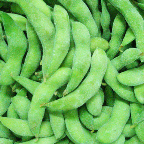 High Quality IQF Frozen Edamame Vegetables Freshly Harvested Beans in ...
