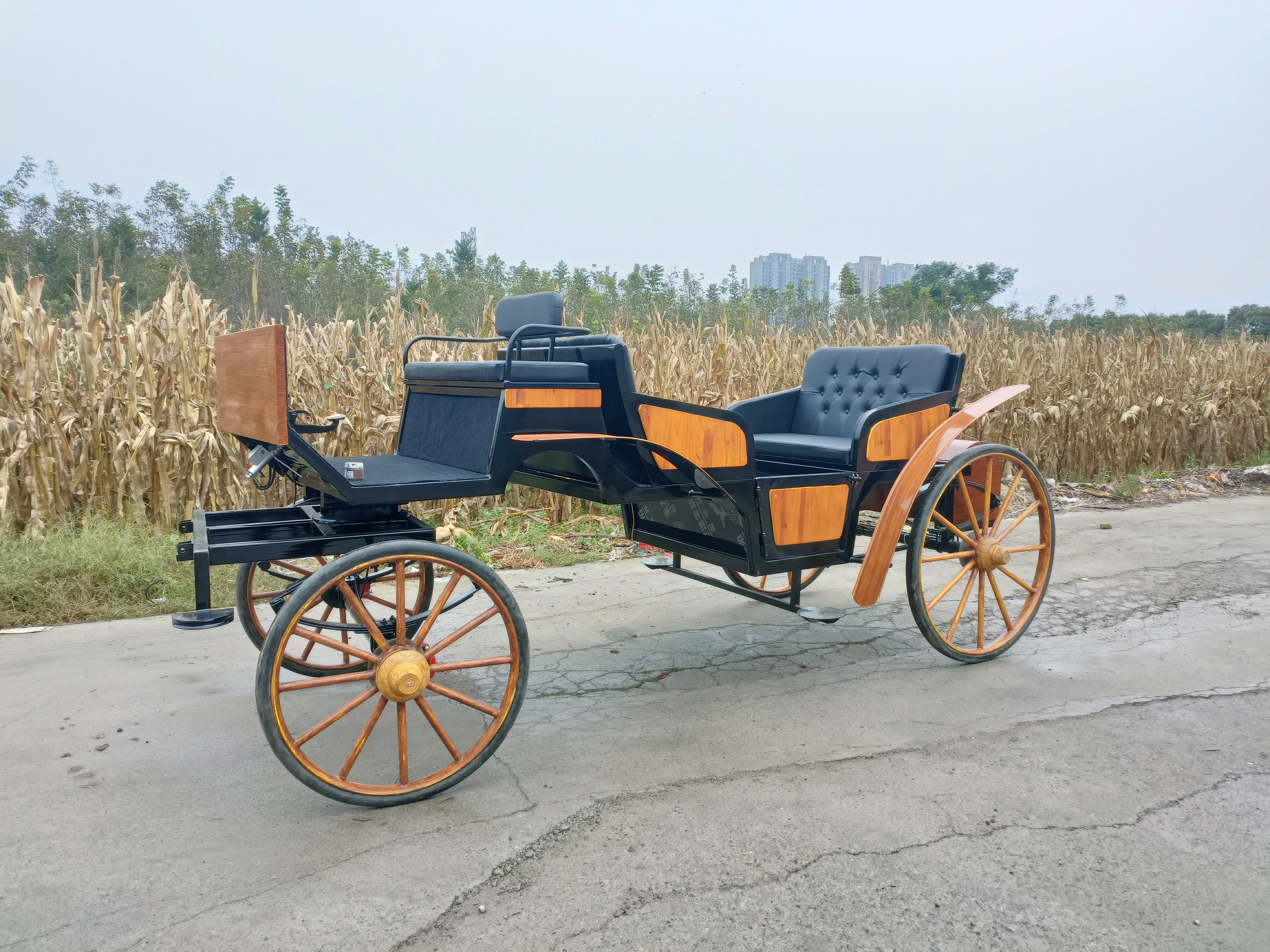 Parts of a Horse Drawn Carriage - Durable & Elegant Design