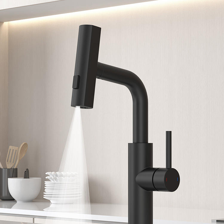 Pull-under Three Way 360 Rotating Matt Black Brass Kitchen Faucet