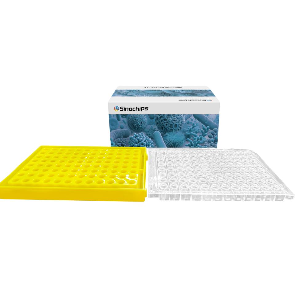 96-Well PCR Plate, Modular Breakable PCR Tube Strips, Compatible with ...