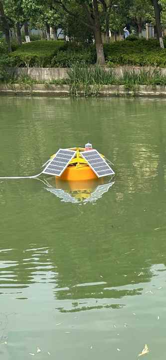 Intelligent Solar-Powered Buoys for Sea Monitoring