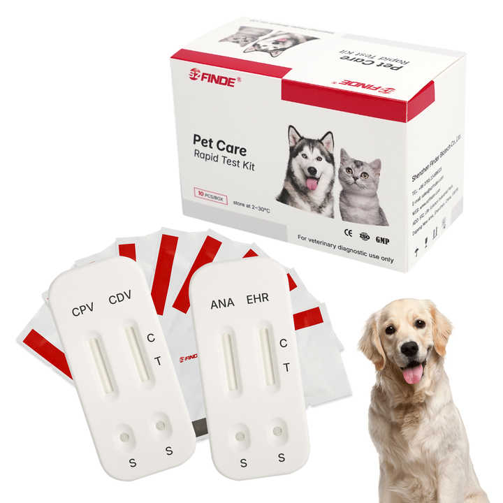Veterinary Instrument Canine Parvo Corona Antigen Rapid Test Kit for ...