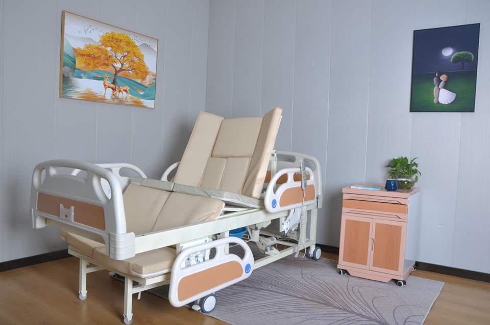 Hochey Medical Fully Automatic Electric Nursing Bed Home ...
