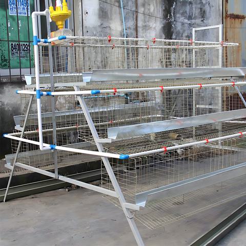 Unmanned Cheap Chicken Coops Chicken Drinking Trough System Broiler ...