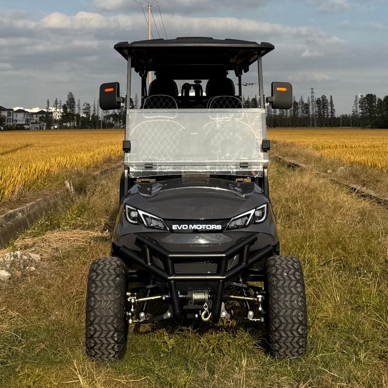 High Quality 72V Electric Utility Golf Buggy Cart 5KW Motor Lithium ...