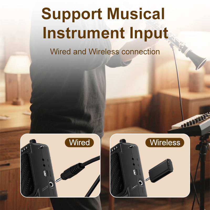 SHIDU Professional Musical Instrument Speaker 25 Watts Powerful ...