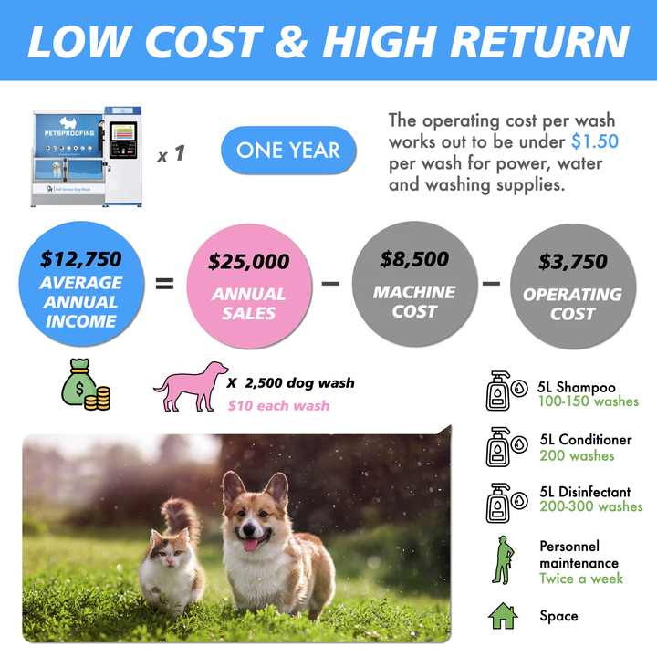 Self Service Dog Wash Stations - Safe & Efficient Cleaning