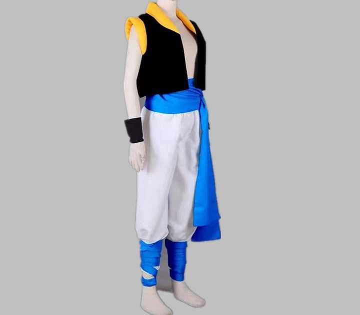 Halloween Cosplay Costumes - Dragon Ball Heroes Fusion