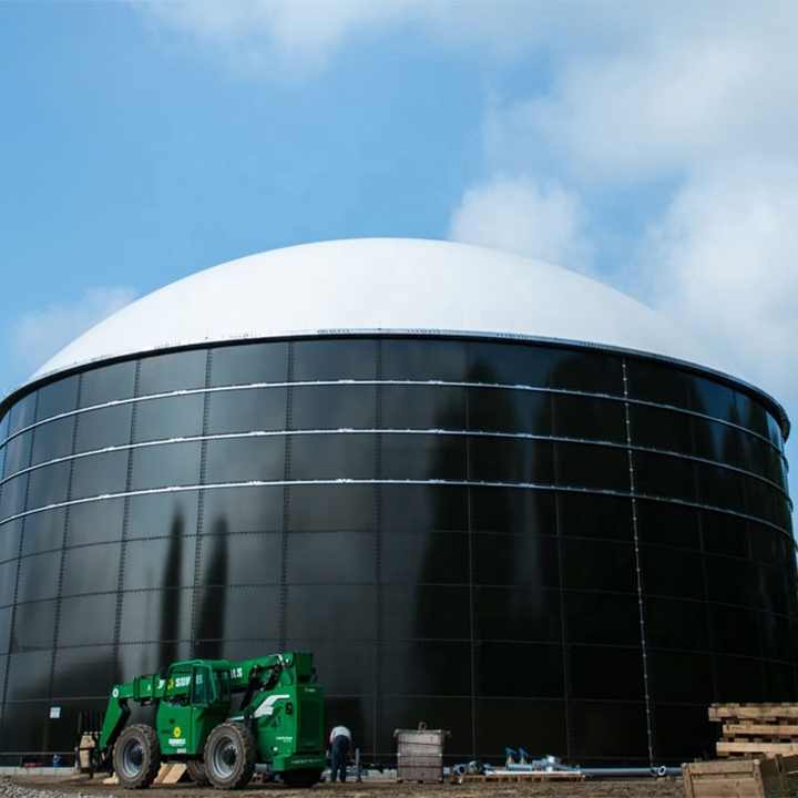 Biogas Power Plant Biogas Plant for Pig Farm| Alibaba.com