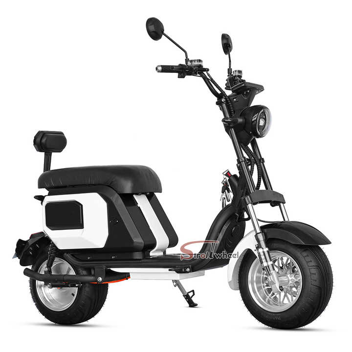 Adult Fat Tire Electric 2-Wheel Electric Off Road 1000W 60V 12Ah Brazil ...