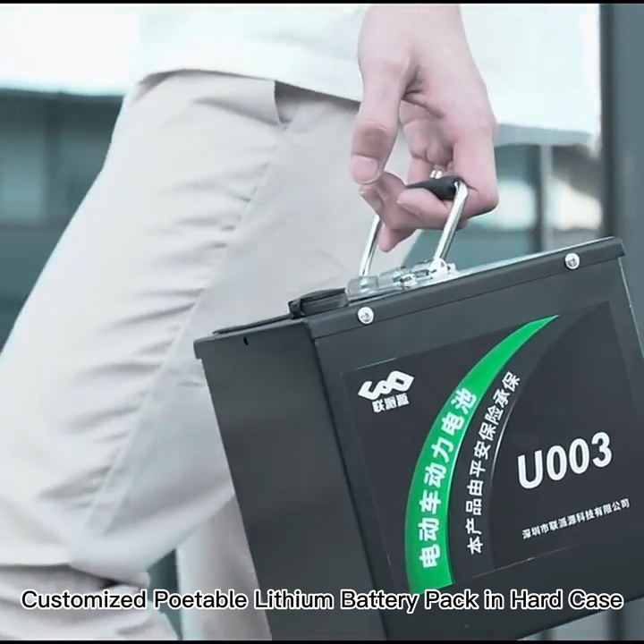 Customized 48V Lithium Ion Batteries for Electric Vehicles