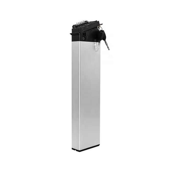 Electric Bike Ebike Portable Battery Lifepo4 E Bike Batteries 48v 10 ...