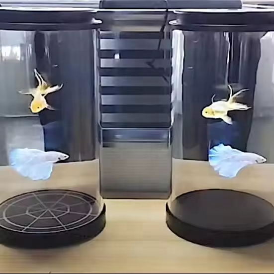 75 Inch Lifesize Circular Hologram - Interactive 3D Display