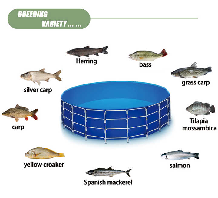 Ras System Aquaculture Equipment for Shrimp Tilapia Fish Farming in ...