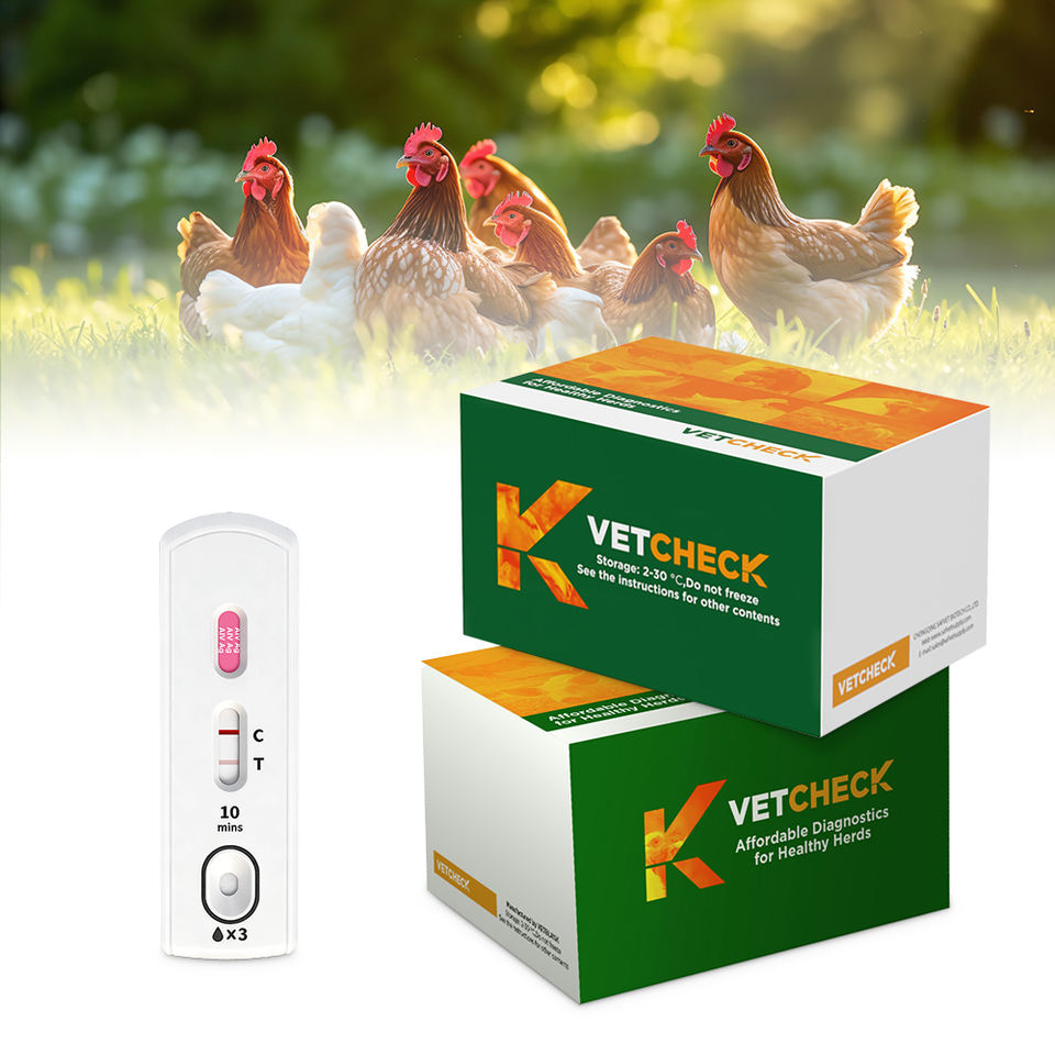 Poultry Veterinary Desease Rapid test Kit for Poultry Disease ...