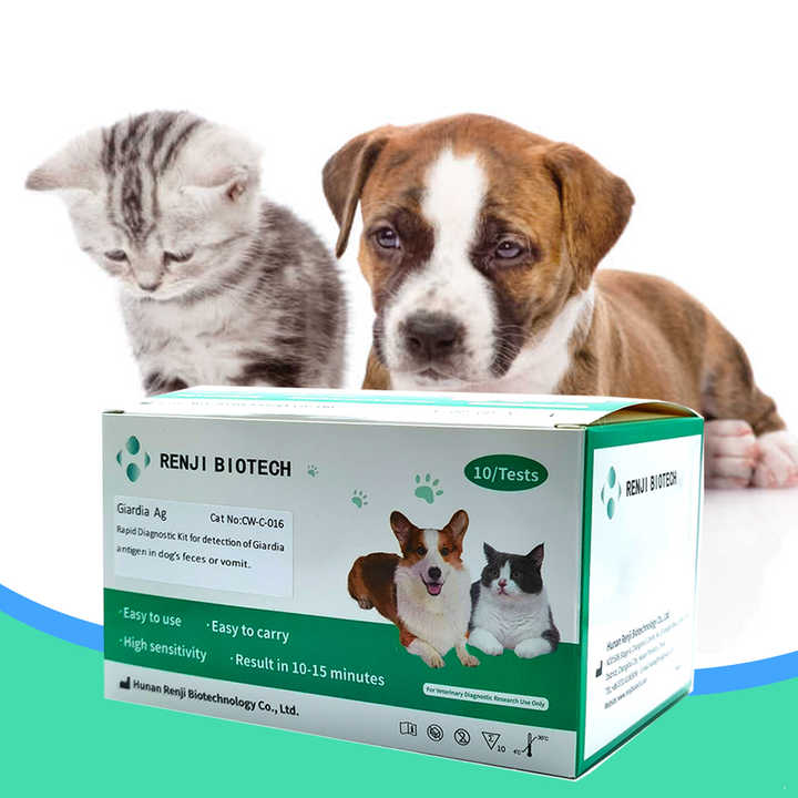 Parvovirus Simple Vet Blood test Kit Vet Diagnostix| Alibaba.com