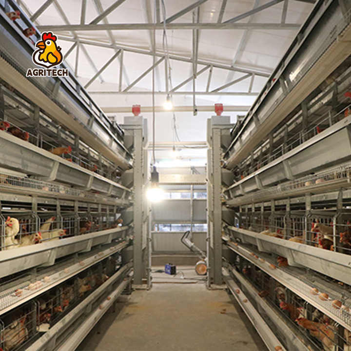 Chicken Cage Laying Hens Nesting Boxes System Farm Egg Collection Metal ...