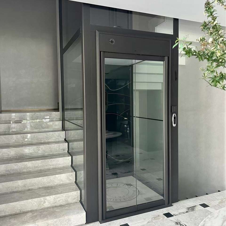FortisSafe 380V Luxury Elevator - Redundant Anti-Fall Systems ...