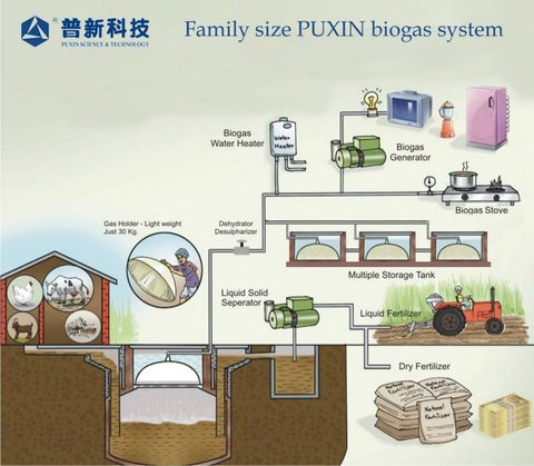 Small Farm Biodigester Biogas System for Sale - Simple & Efficient