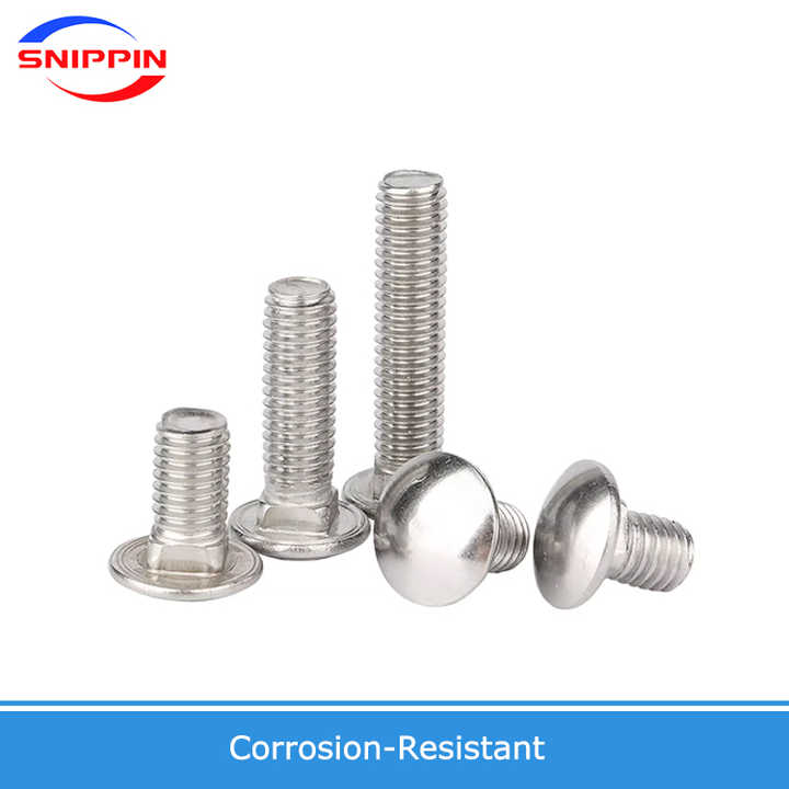 M4 M5 M6 M8 M10 M12 A2-70 304 Stainless Steel Truss Round Head Square Neck Carriage Screw Coach ...