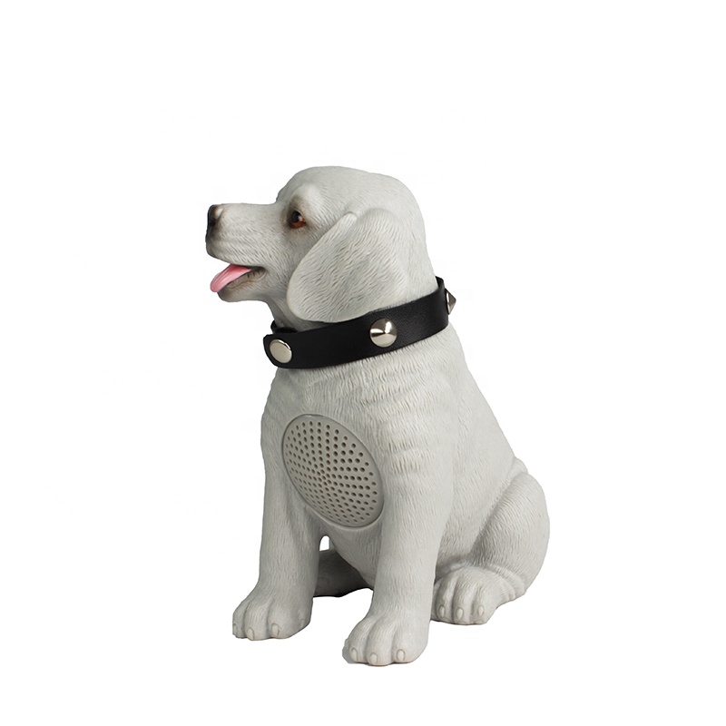 How to Choose the Best Dog Speaker Bluetooth for Your Pet's Needs