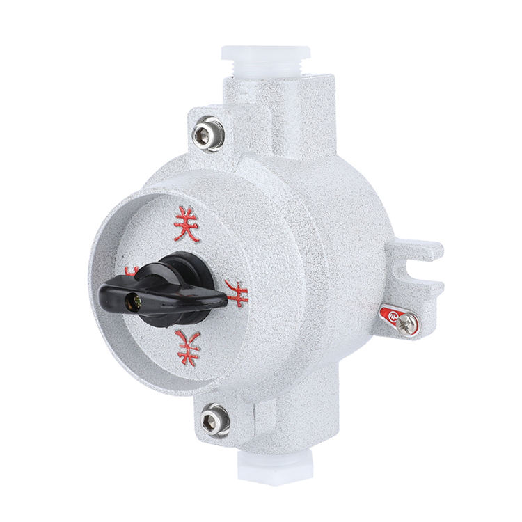 Exde IIC T5 Gb Explosion Proof Switch SW10 for Oil Gas Middle East IP65 ...