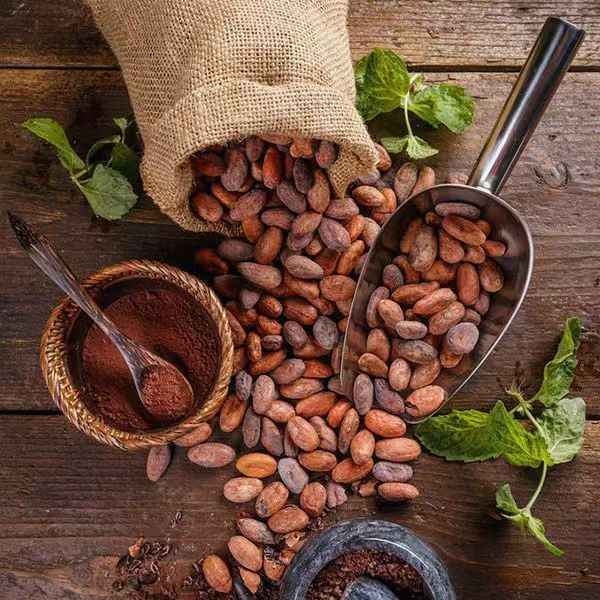 Organic Cocoa Beans - Roasted and Dried Cacao Packed in Bag