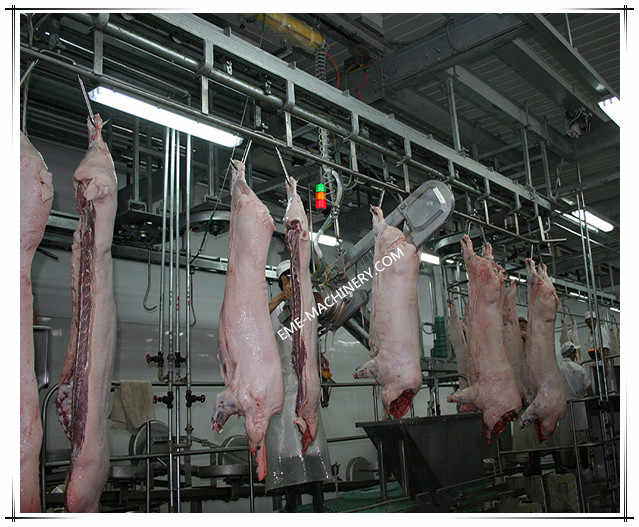 Pig Slaughterhouse Equipment - Efficient Carcass Splitting