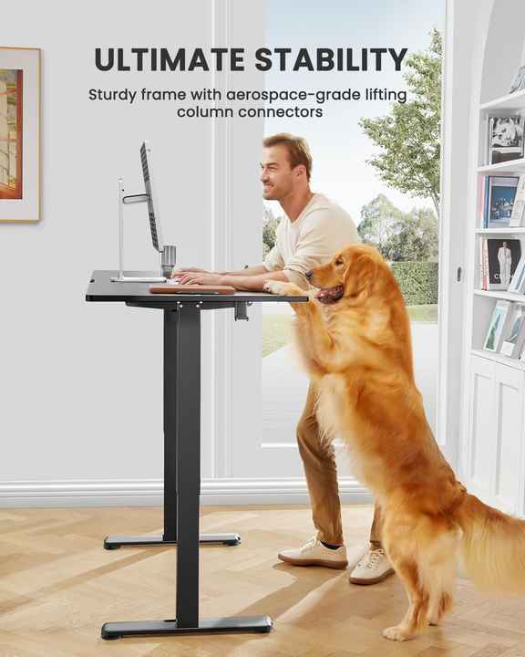 AJUNION Sturdy Steel Frame Electric Standing Desk Performance Motor ...