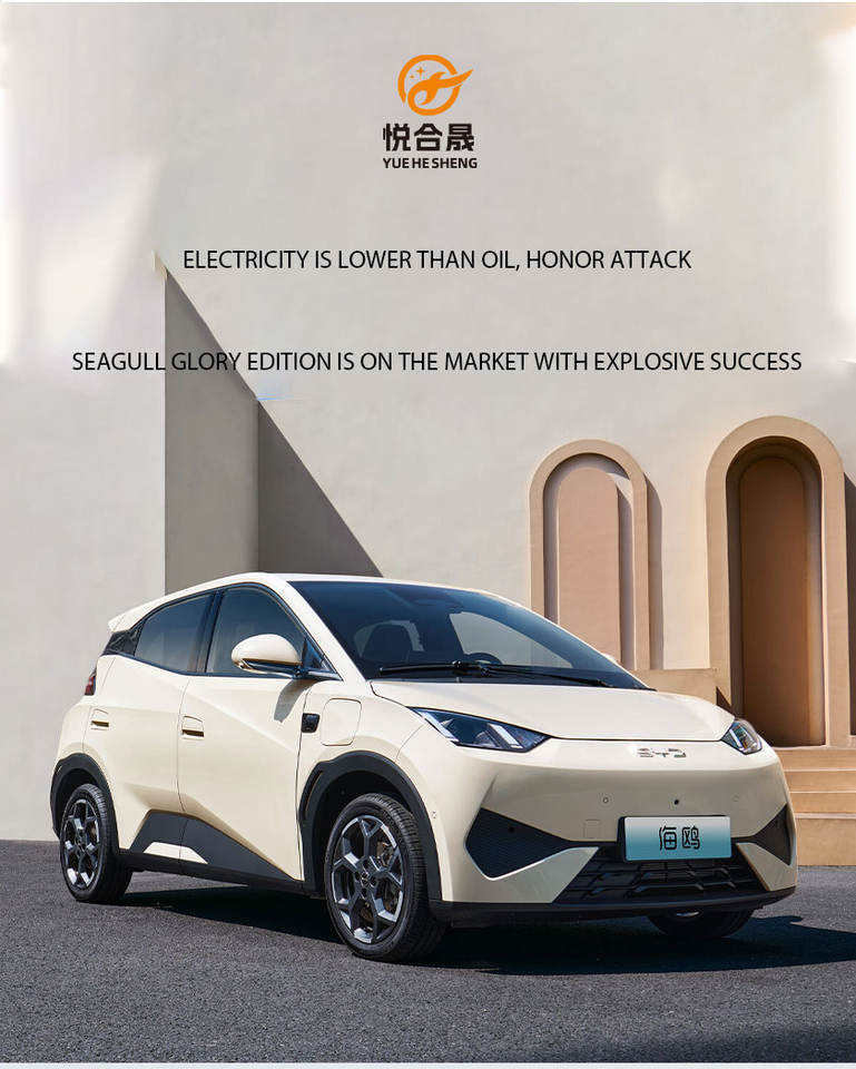 BYD Seagull 2025 Electric Vehicle Chinese New Car Daily Commute Freedom ...
