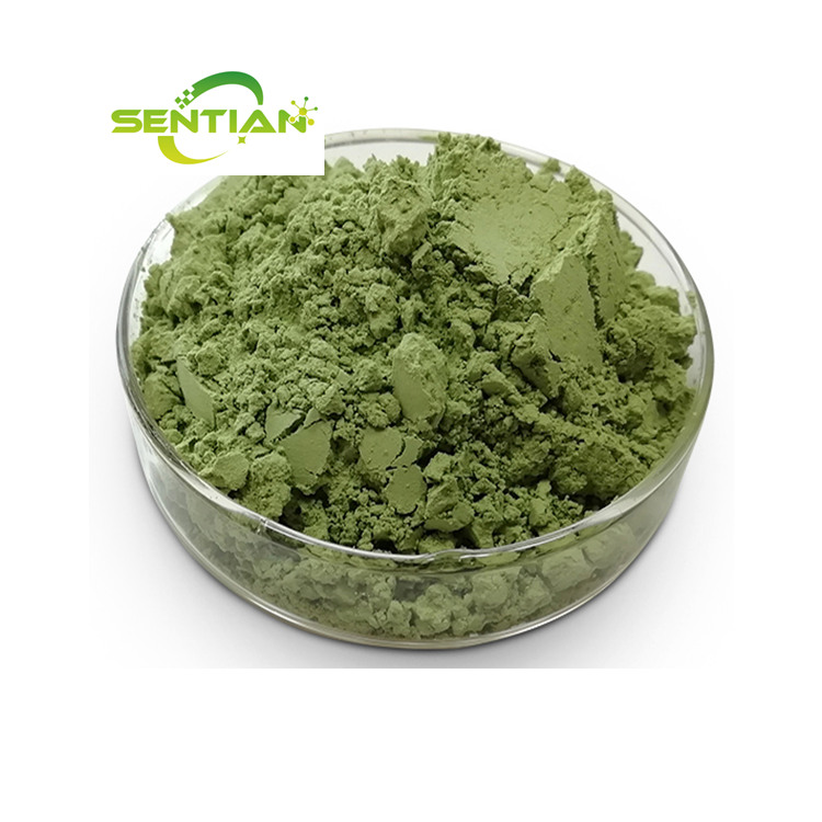 100% Natural Pandan Leaf Extract - Health & Food Benefits
