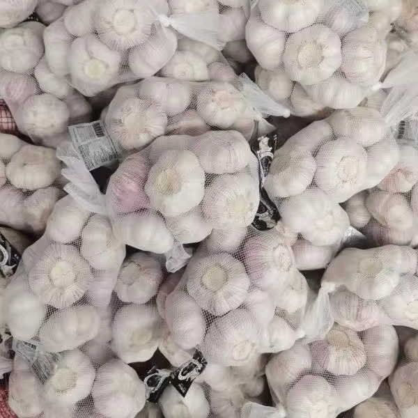 Factory Hot Sale and Wholesale High Quality Fresh Garlic in China New ...