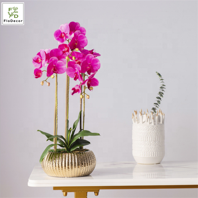 How to Choose the Best Hyper Real Plants for Your Space